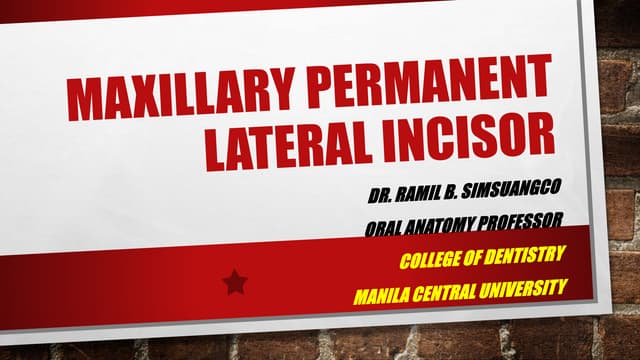 Permanant Maxillary Lateral Incisor | PPTX