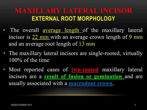 Permanant Maxillary Lateral Incisor | PPTX