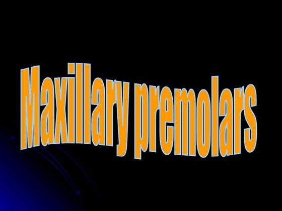 Peramanent Maxillary Canine | PPT