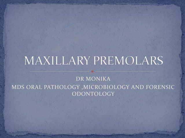 Permanent Maxillary 1st premolar | PPTX