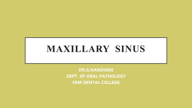 Maxillary central incisor (ORAL ANATOMY) | PPTX