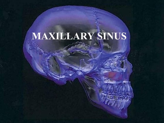 Anatomy of para nasal sinuses | PPT