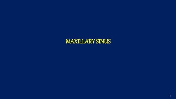 Anatomy of para nasal sinuses | PPT