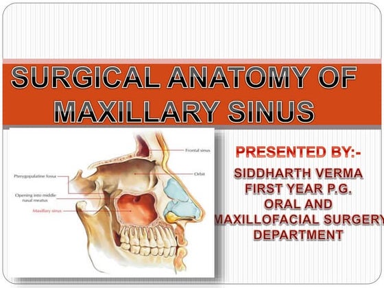 Dangerous area of face | PDF
