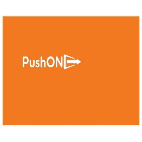 Maximising Revenue - PushON | PDF