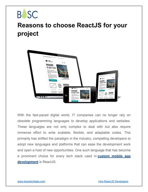 Maximize Development Efficiency with ReactJS.pdf Maximize Development Efficiency with ReactJS.pdf