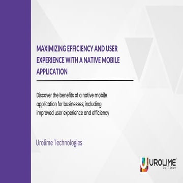 Maximizing Efficiency And User Experience With A Native Mobile Application Pdf