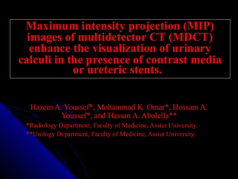 Maximum intensity projection (mip) (2)