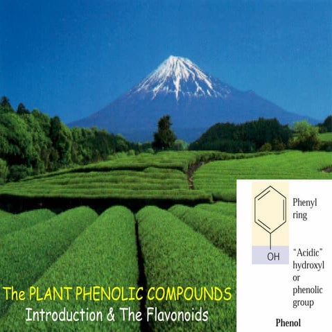 THE PLANT PHENOLIC COMPOUNDS 09 MAY 2007 | PDF