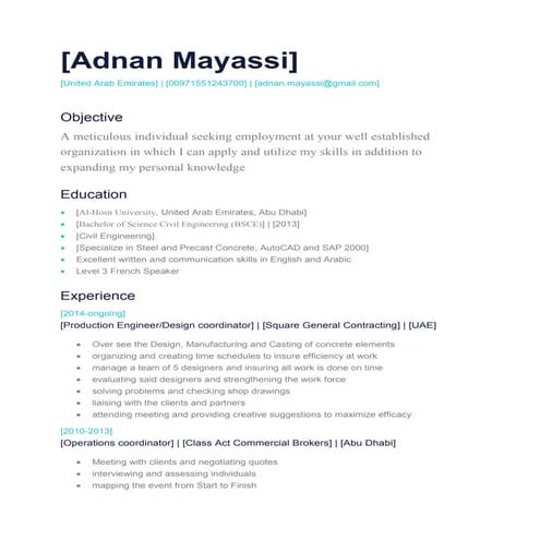 Adnan Mayassi resume | DOCX