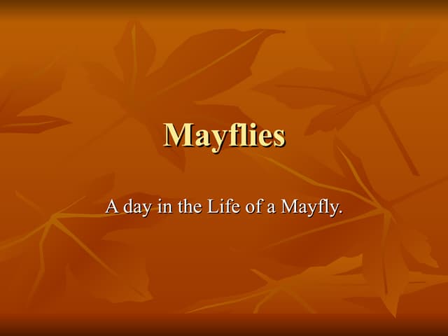 honey bees in India | PPT