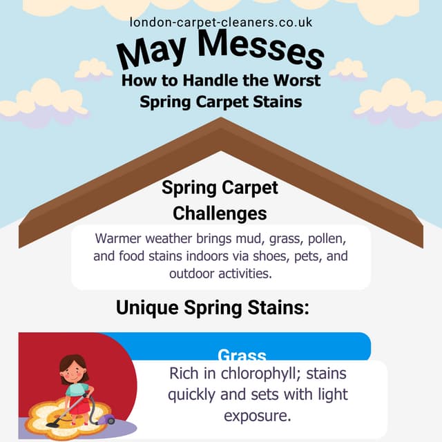 May Messes How to Handle the Worst Spring Carpet Stains.pdf