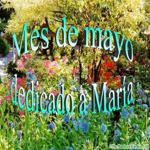 Mayo | PPTX