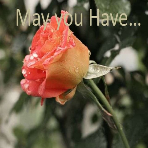 May you have... | PPT