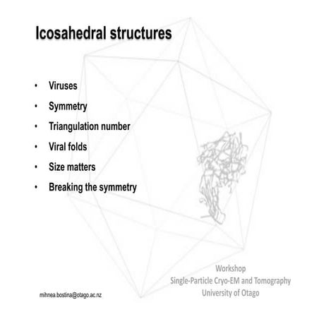 Structural symmetry of viruses | PPTX