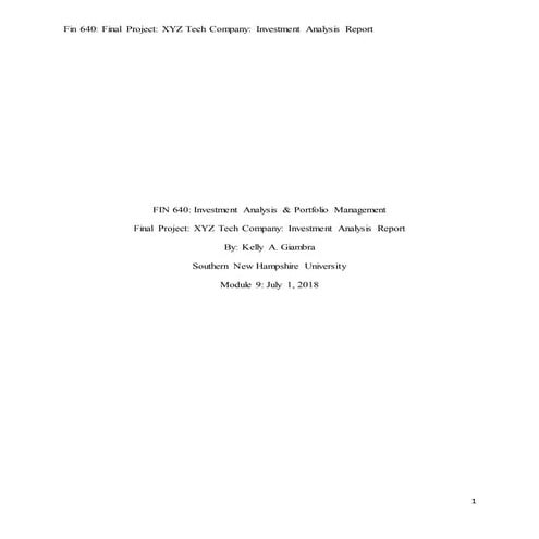 MBA 640 Final Project Investment Analysis Report | DOCX