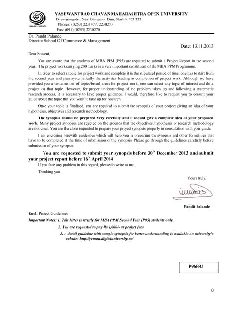 SMU BBA PROJECT GUIDELINES | PDF