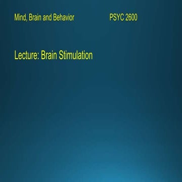 MBB 10 Brain Stimulation.pptx