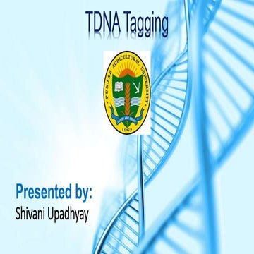 TDNA tagging and case study | PPTX