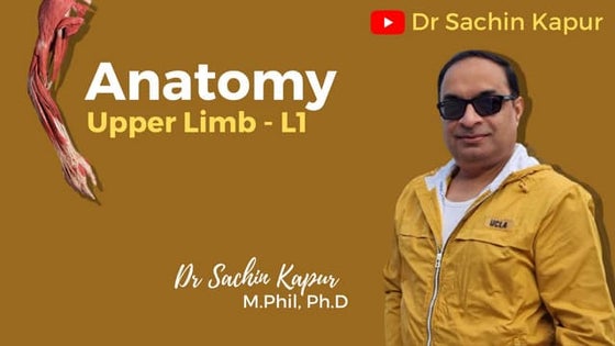 Anatomy of the Upper Limb - Edukite | PDF