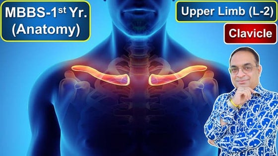 Clavicle | PPTX