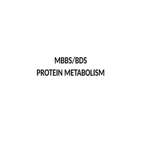 Comprehensive Overview of Protein Metabolism and Amino Acid ...