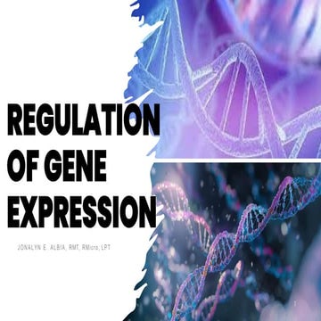 regulation of gene expression powerpoint presentation | PDF