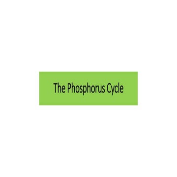 Phosphorus cycle | PPTX