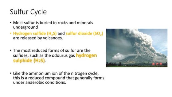 Sulfur cycle | PPTX
