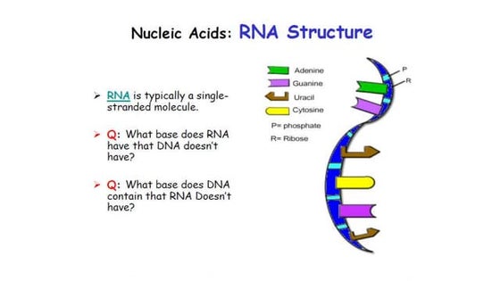 Experimental evidence to Prove RNA as genetic material | PDF