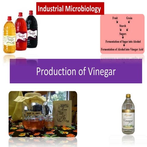 Vinegar (acetic acid) production | PPTX