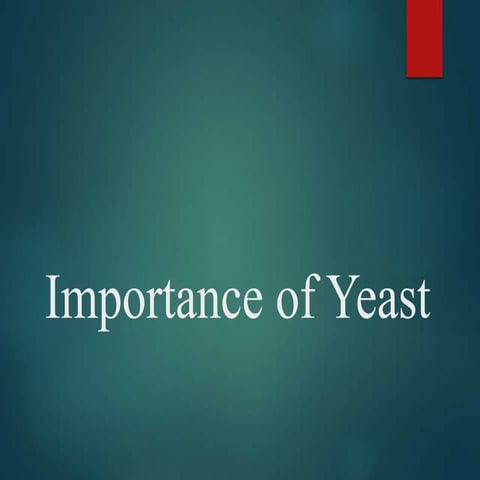 Importance of yeast | PPT