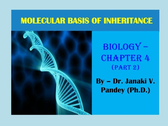 02 The Role of DNA in Protein Synthesis | PPT