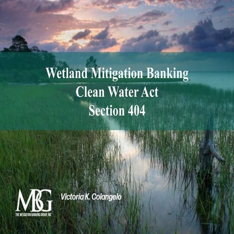 Wetland Mitigation Banking Clean Water Act Section 404 | PPT