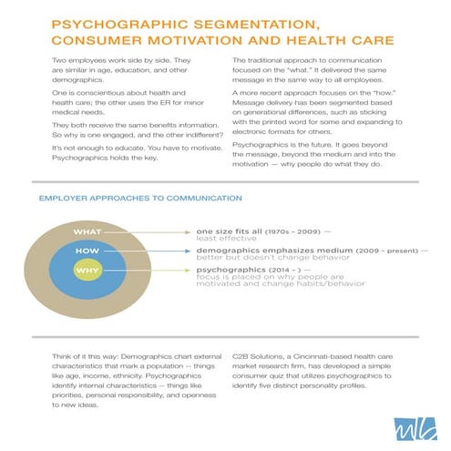 Psychographic Segmentation | Consumer Motivation and Health Care | PDF