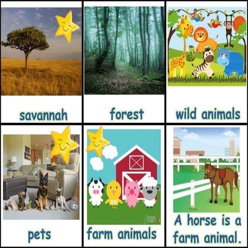 MC-L2-U10-LC1-3 Lesson 3 Animals I know 3 flashcards | PPTX