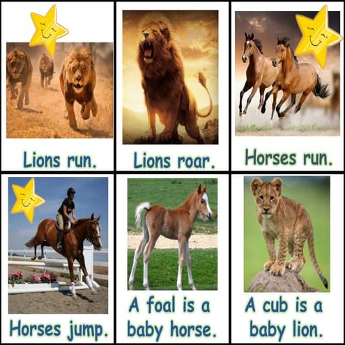 MC-L2-U10-LC2-9 Lesson 9 Animals grow and change 9 flashcards | PPTX