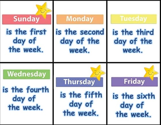 MC-L4-U9-LC2-11 Lesson 11 Wild Animals that help us 11 flashcards | PPTX