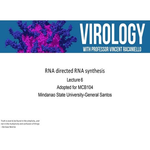 Virology - RNA directed RNA synthesis: Professor Vincent | PDF