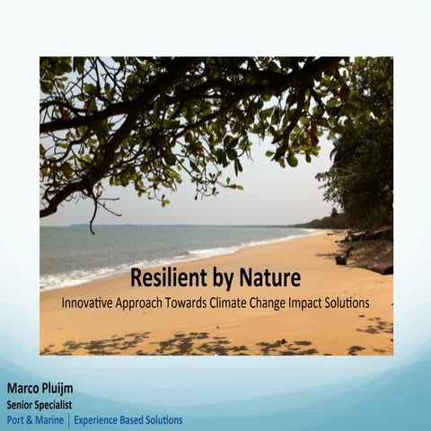 City Water Resilience Framework, Arup | PDF