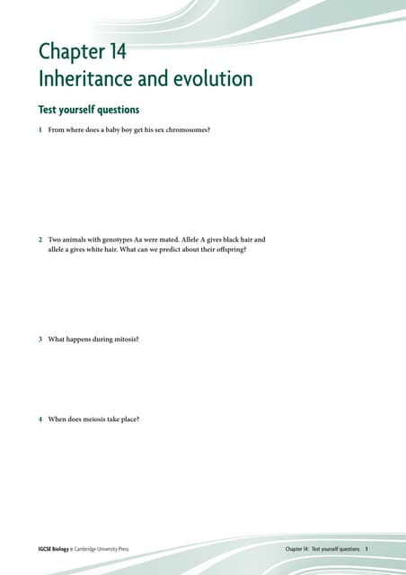 Chapter14worksheets | DOC | Genetics | Science