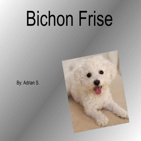 Mc Curdy Braden | PPT