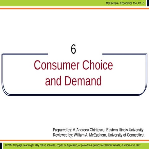 consumer_choice_and_demand_intro_to_econ.pptx