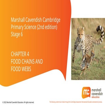 MCE_Cambridge_Primary_Science_2E_Stage6_PPT_C04.pptx