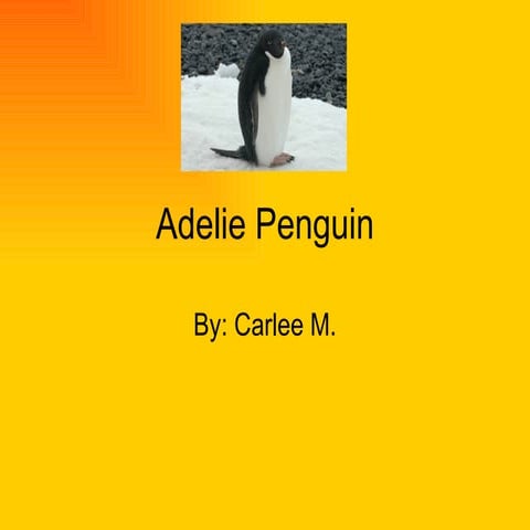 Blue footed bubi powerpoint | PPTX