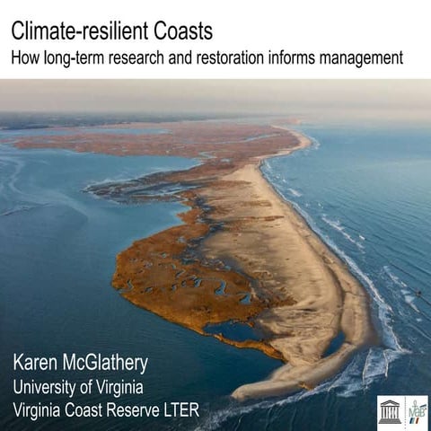 Climate-Resilient Coasts: How long-term research and restoration ...