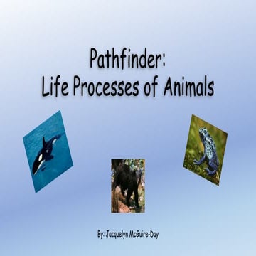 Mcguireday life processes pathfinder | PPT