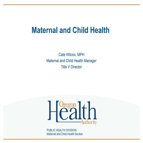 Comprehensive Overview of Maternal and Child Health Programs and ...