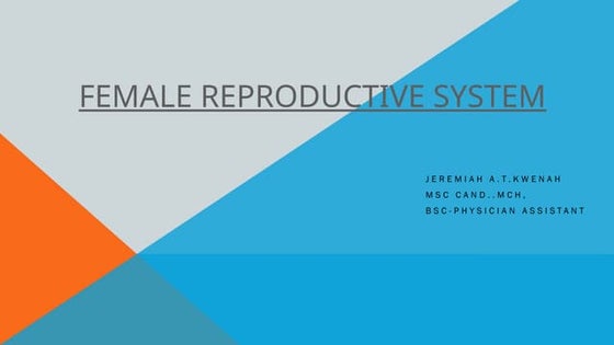 Female reproductive system | PPT | Pregnancy | Reproductive Health