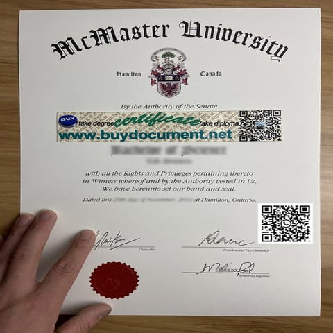 McMaster diploma | PDF